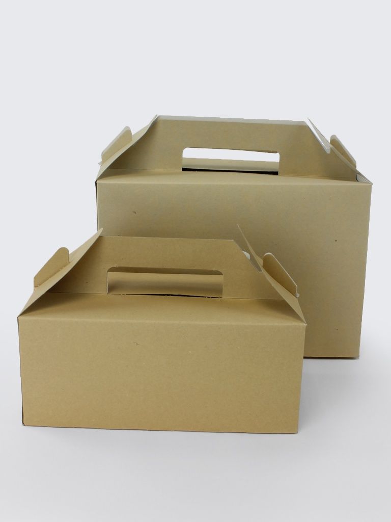 Paperboard Carry Pack Boxes | iKrafts